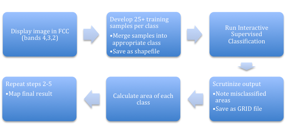 Image Classification
